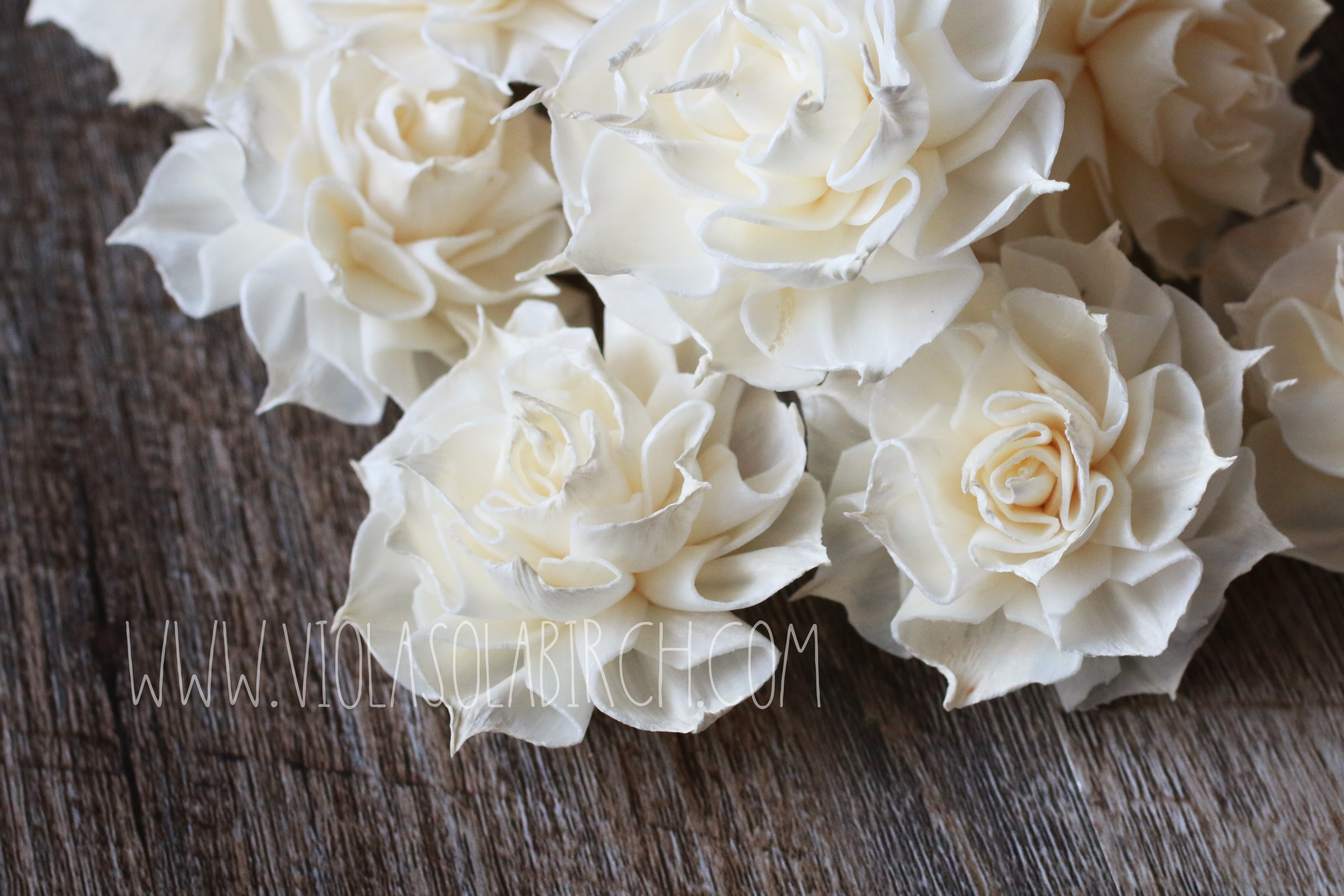 Sansa – Design Studio 222